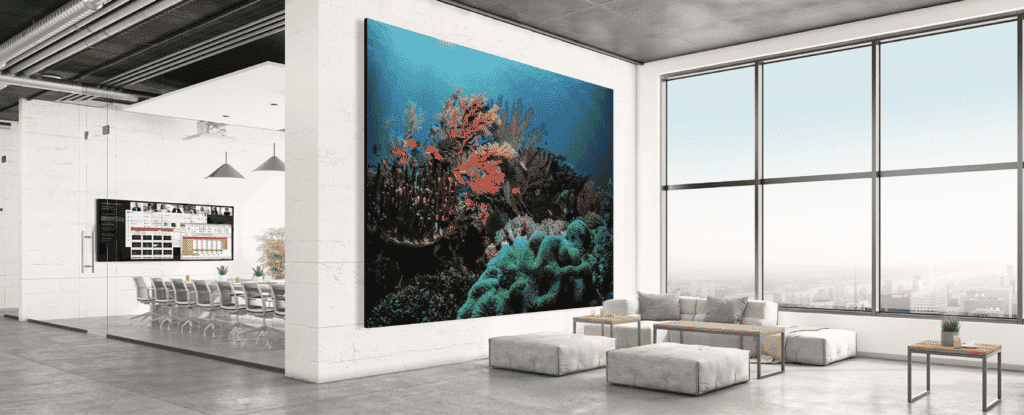 PixelNet Powers Doha Oasis Project | Jupiter